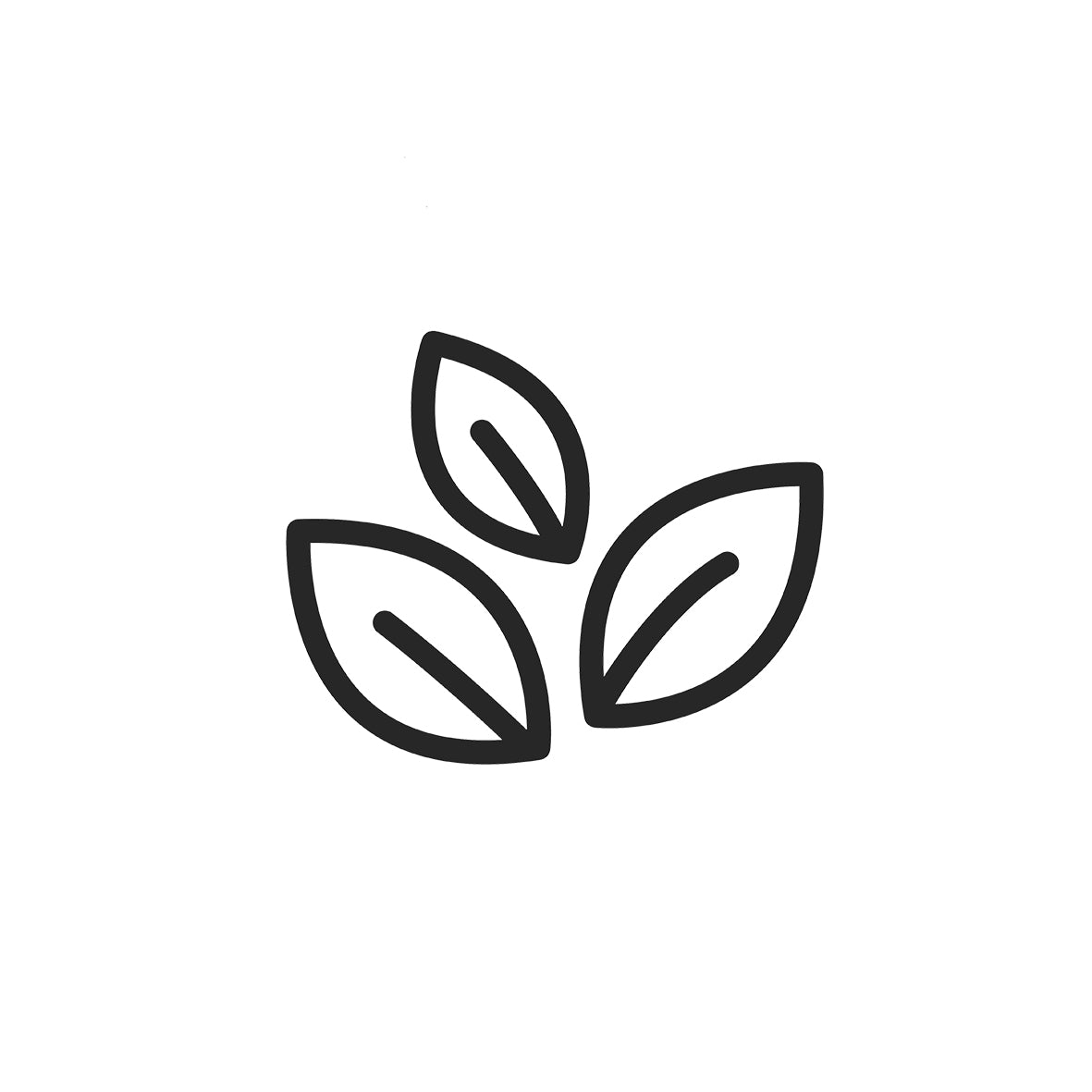 The Hair and Skin Factory